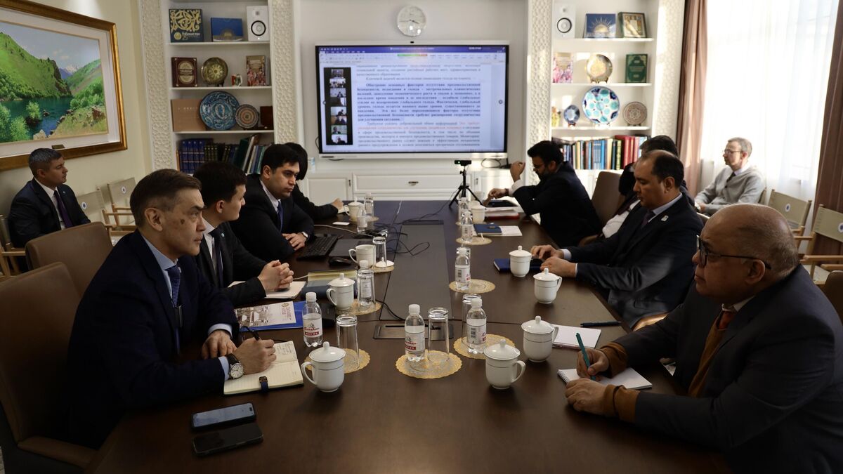 SCO National Coordinators Council holds its regular meeting | The ...