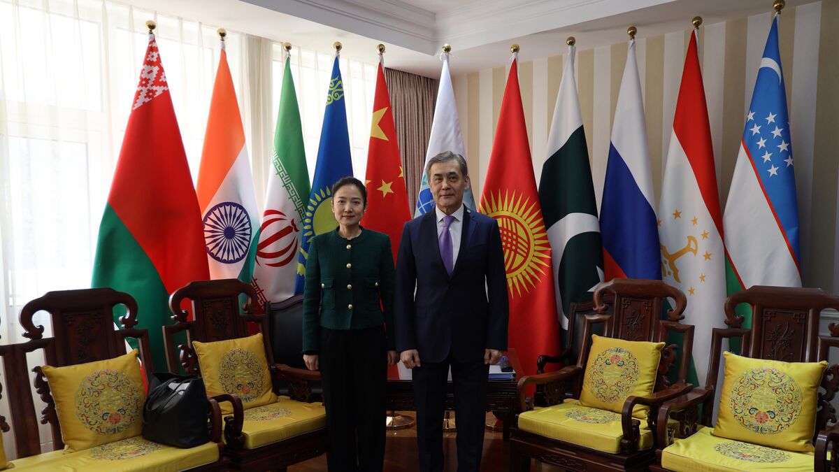 SCO Secretary-General’s Meeting with Secretary-General of GNFCC | The ...