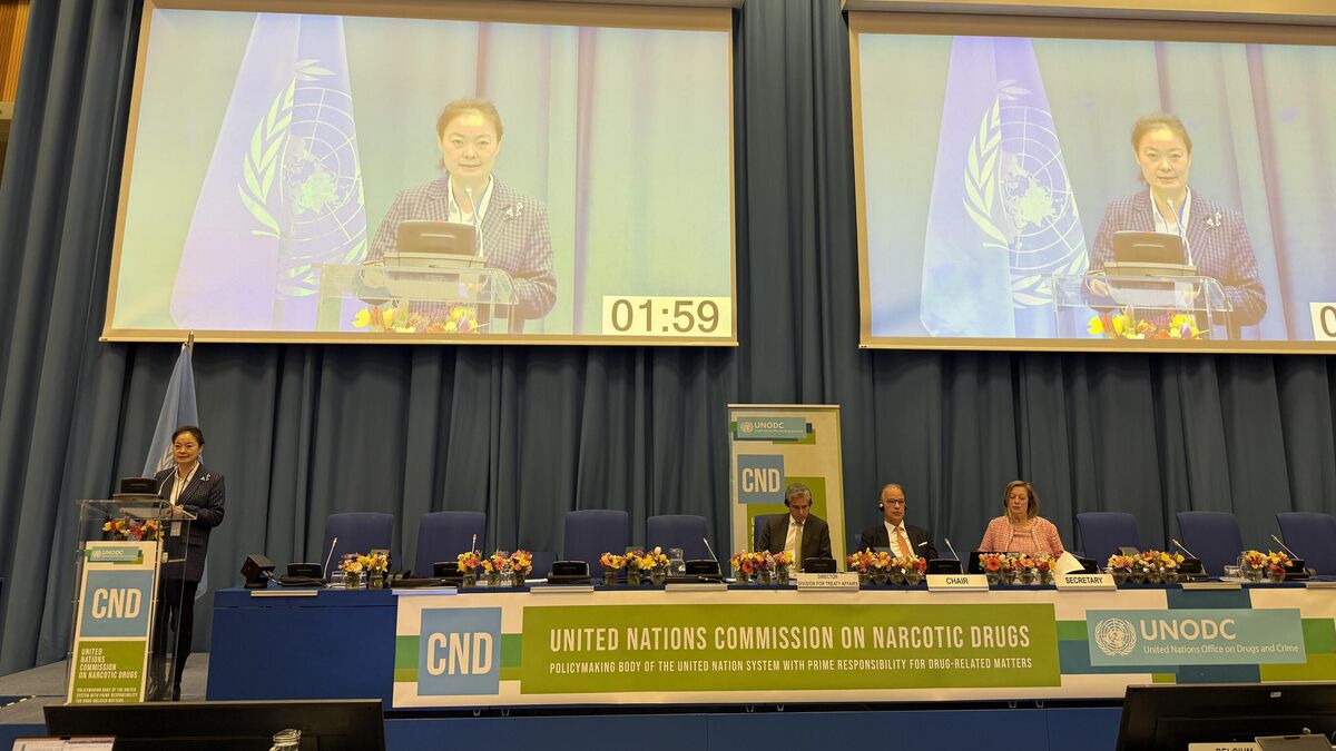 SCO Delegation Attends UNCND Session | The Shanghai cooperation ...
