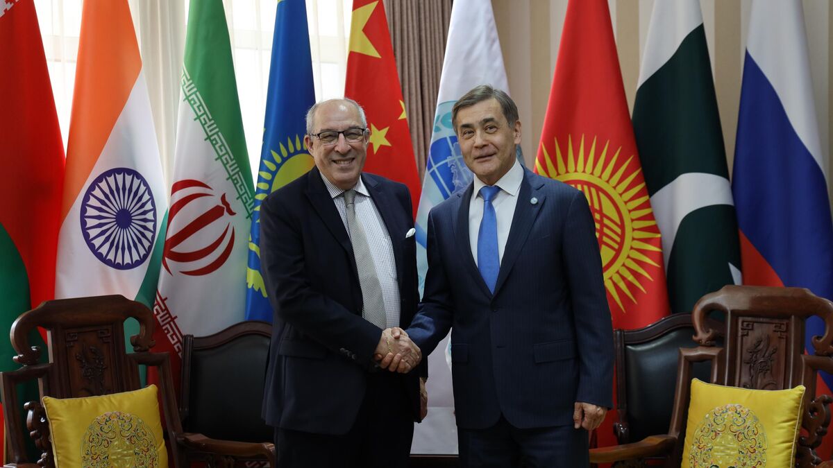 SCO Secretary-General Meets with the Ambassador of Morocco | The ...